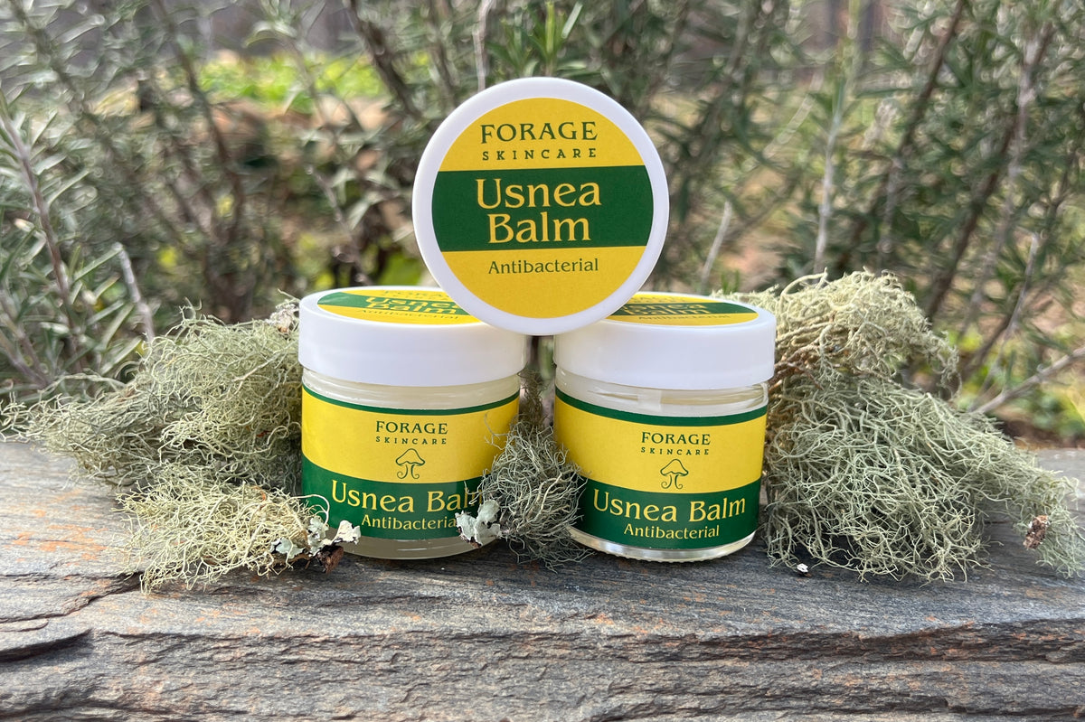 Usnea Antibacterial Balm – HaaShrooms