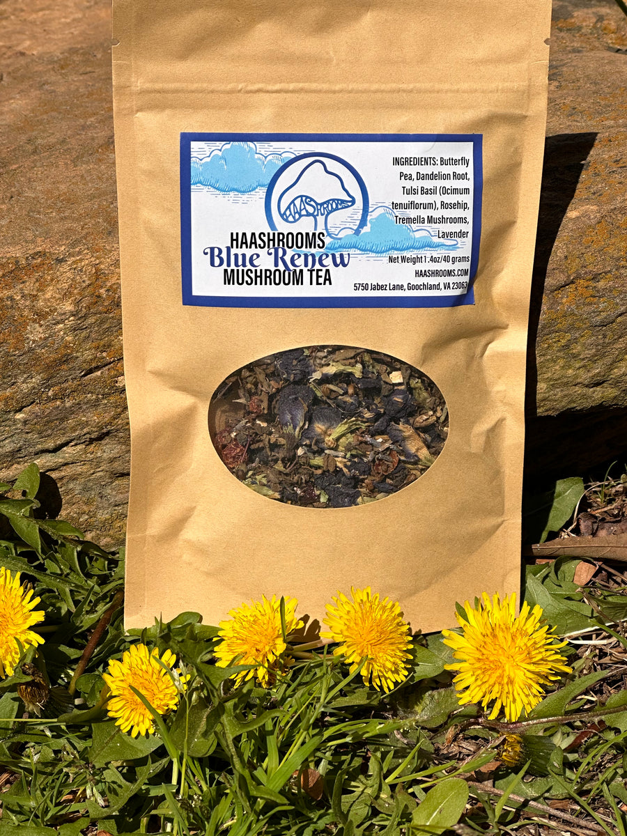Blue Renew Tea with Tremella Mushroom – HaaShrooms